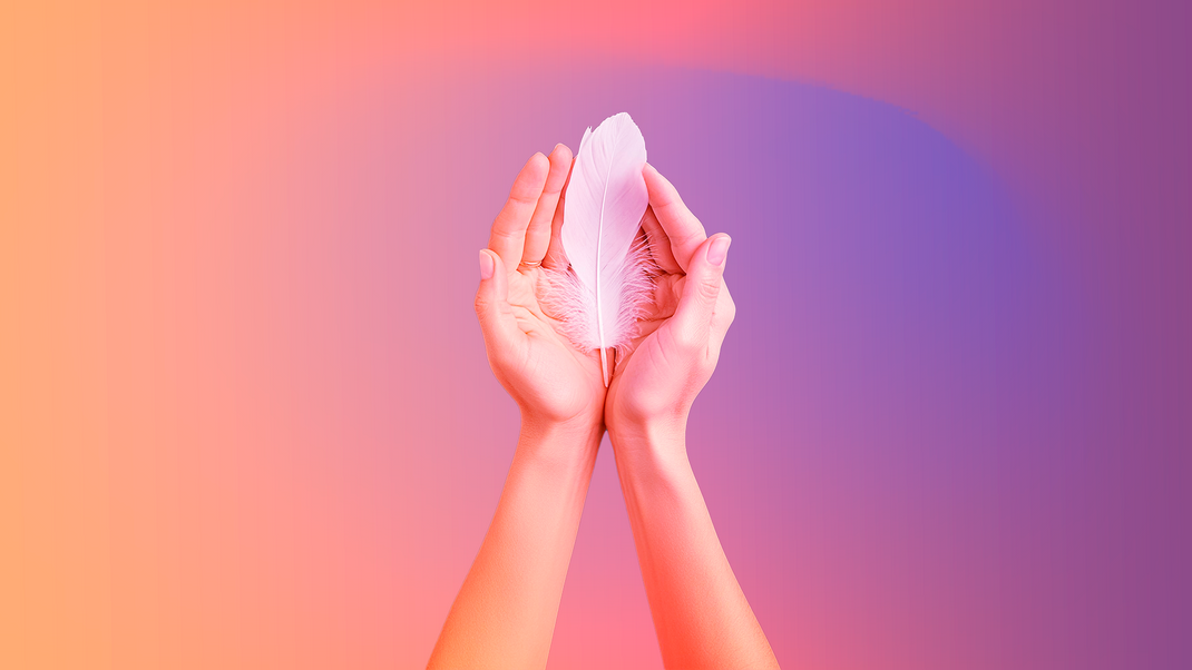 Sobre Meness Concept