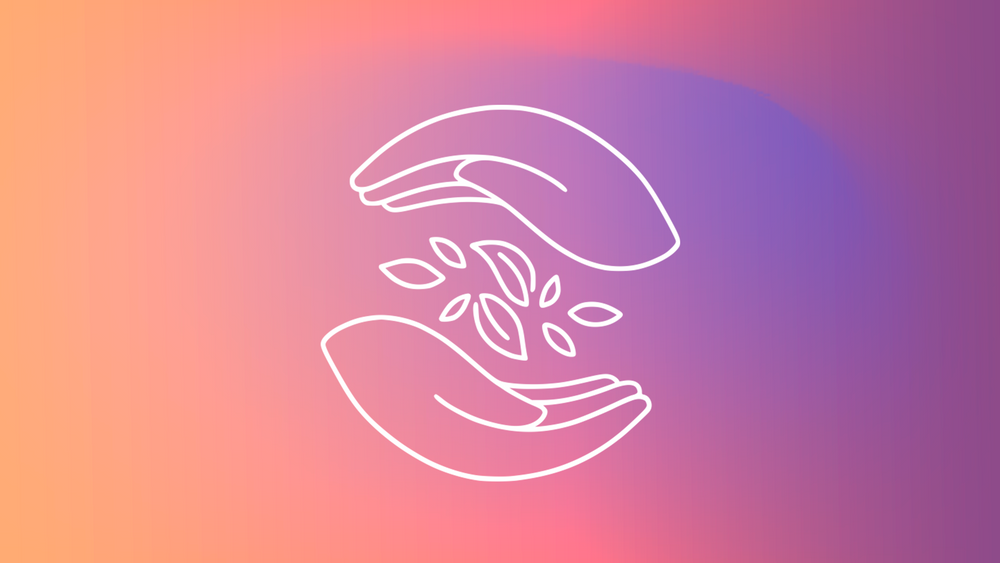 Sobre Meness Concept